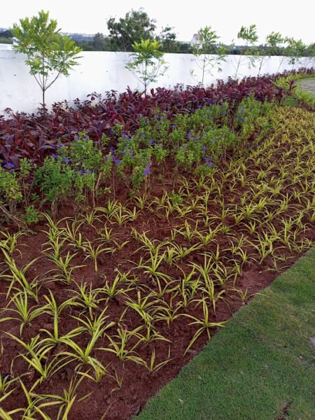 Gandipet Eco-Park (Landscape) - Timings, Entry Ticket Fee, Price, Cost